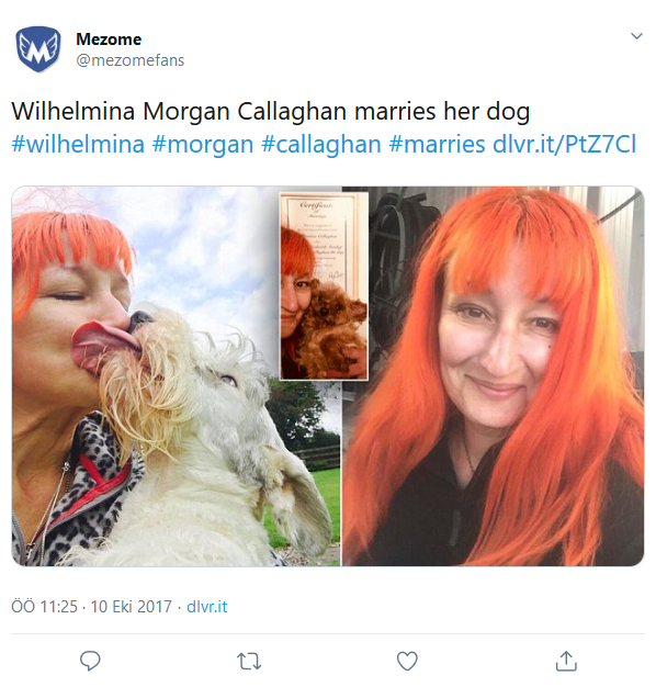 Yaşadığı 220 ilişkide mutluluğu bulamayan eski model, köpeğiyle evleniyor