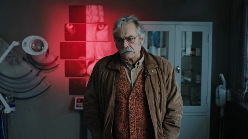 "Şahsiyet" dizisinin ikinci sezon yayın tarihi açıklandı - Fotoğraf ...