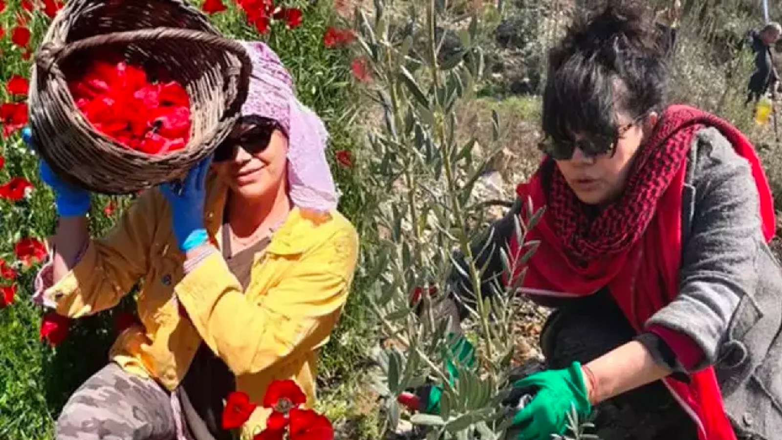 Hobisi işi oldu: Ünlü oyuncu zeytinyağı satıyor... - Fotoğraf Galerisi