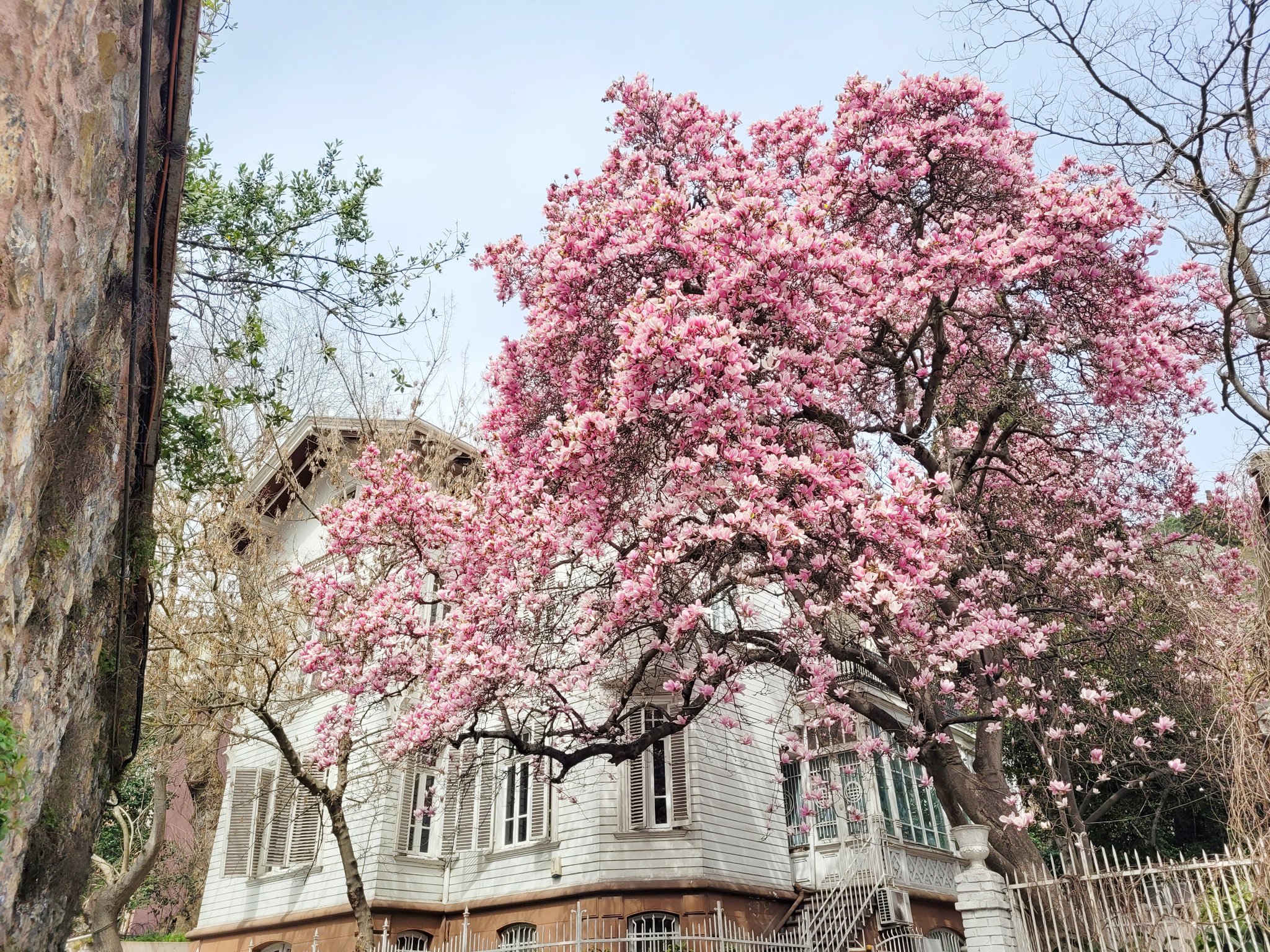 Mevsim bahar olunca yaşamak ne güzel