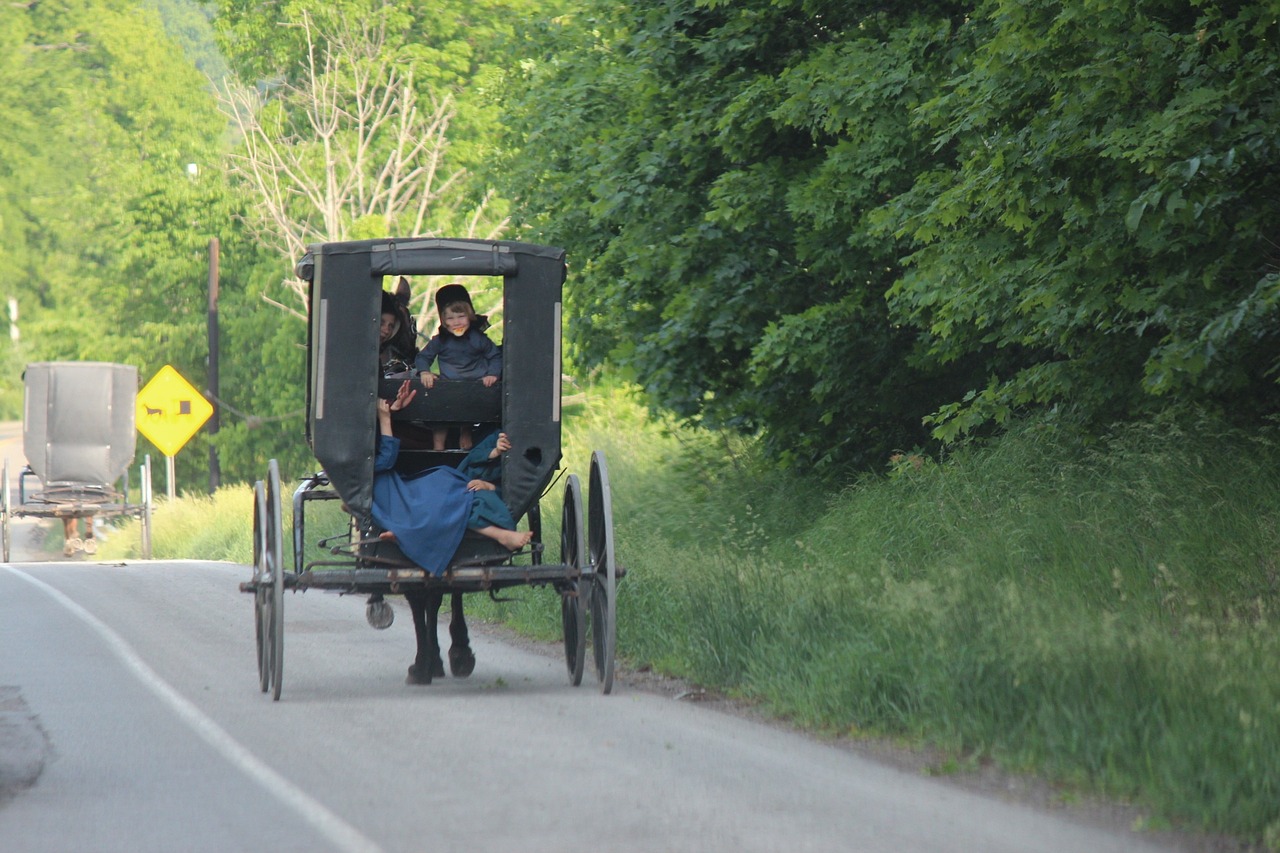 400 yıl öncede yaşıyorlar: Amish halkı zamanı nasıl durdurdu? - Foto ...