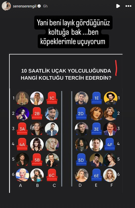 Seren Serengil'den Gülben Ergen çıkışı: Ben köpeklerimle uçuyorum!