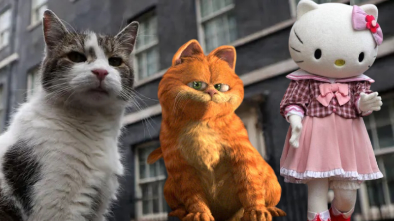 Larry’den Garfield’a: Dünya tarihinin en ünlü 12 kedisi - Fotoğraf Galerisi