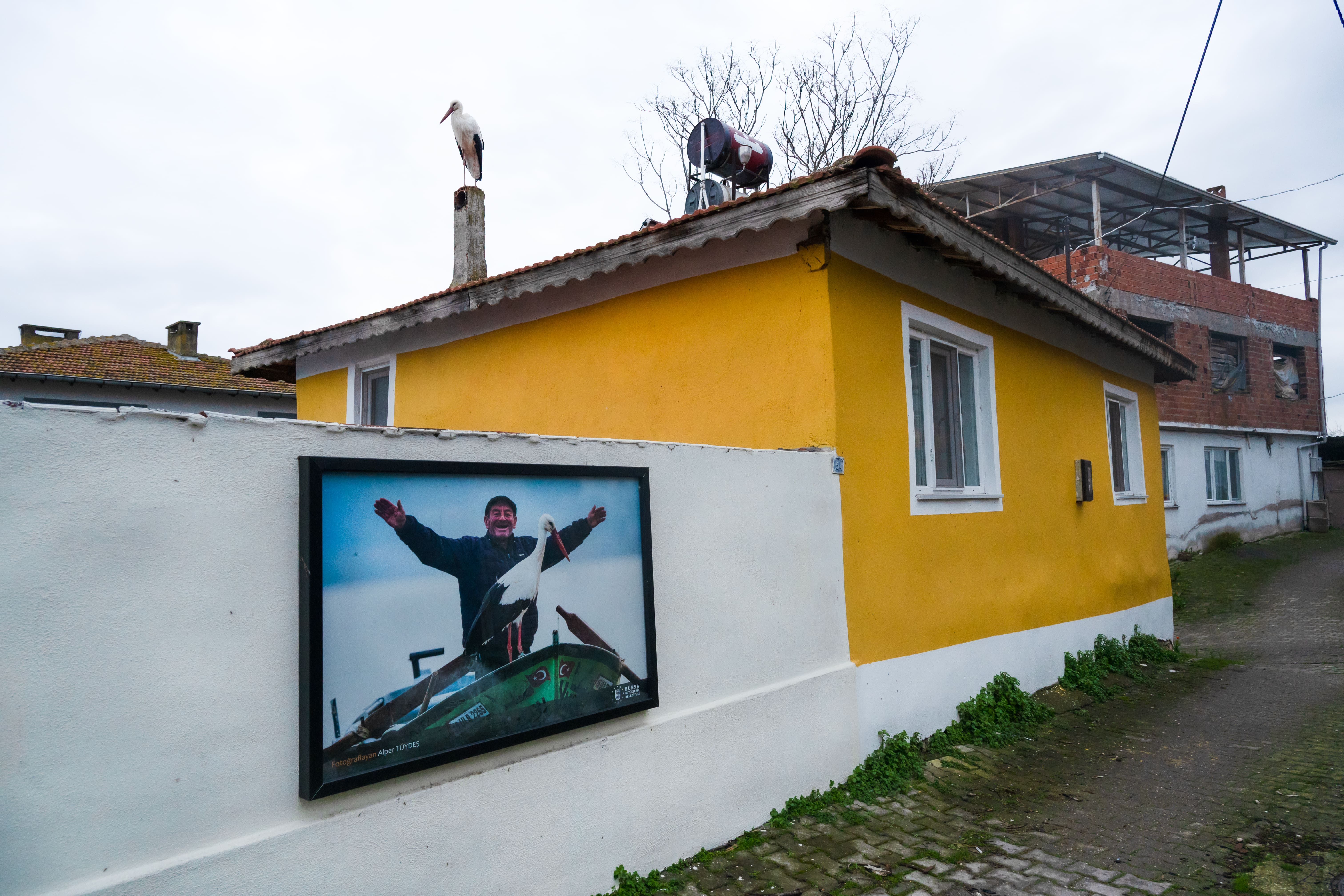 Yaren Leylek 15. yılda da göçüp geldi - Foto Galerisi