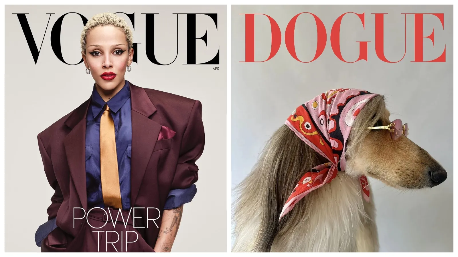 Vogue dergisinden Dogue'a dava: Hem isim hem görsel dil benzerliği ...
