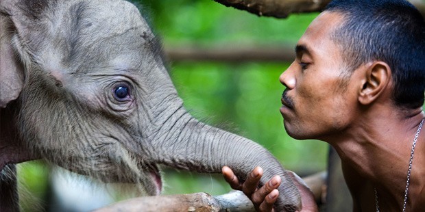 İnsanlar ve hayvanlar... - Fotoğraf Galerisi